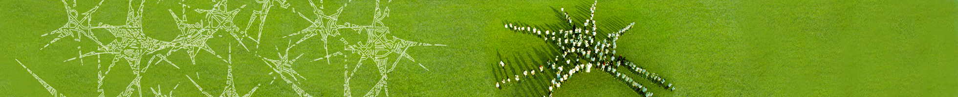 Our Story - Bahrain Polytechnic